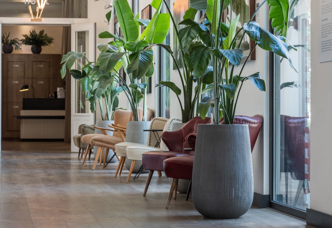 Planter - Servix Plantedekor